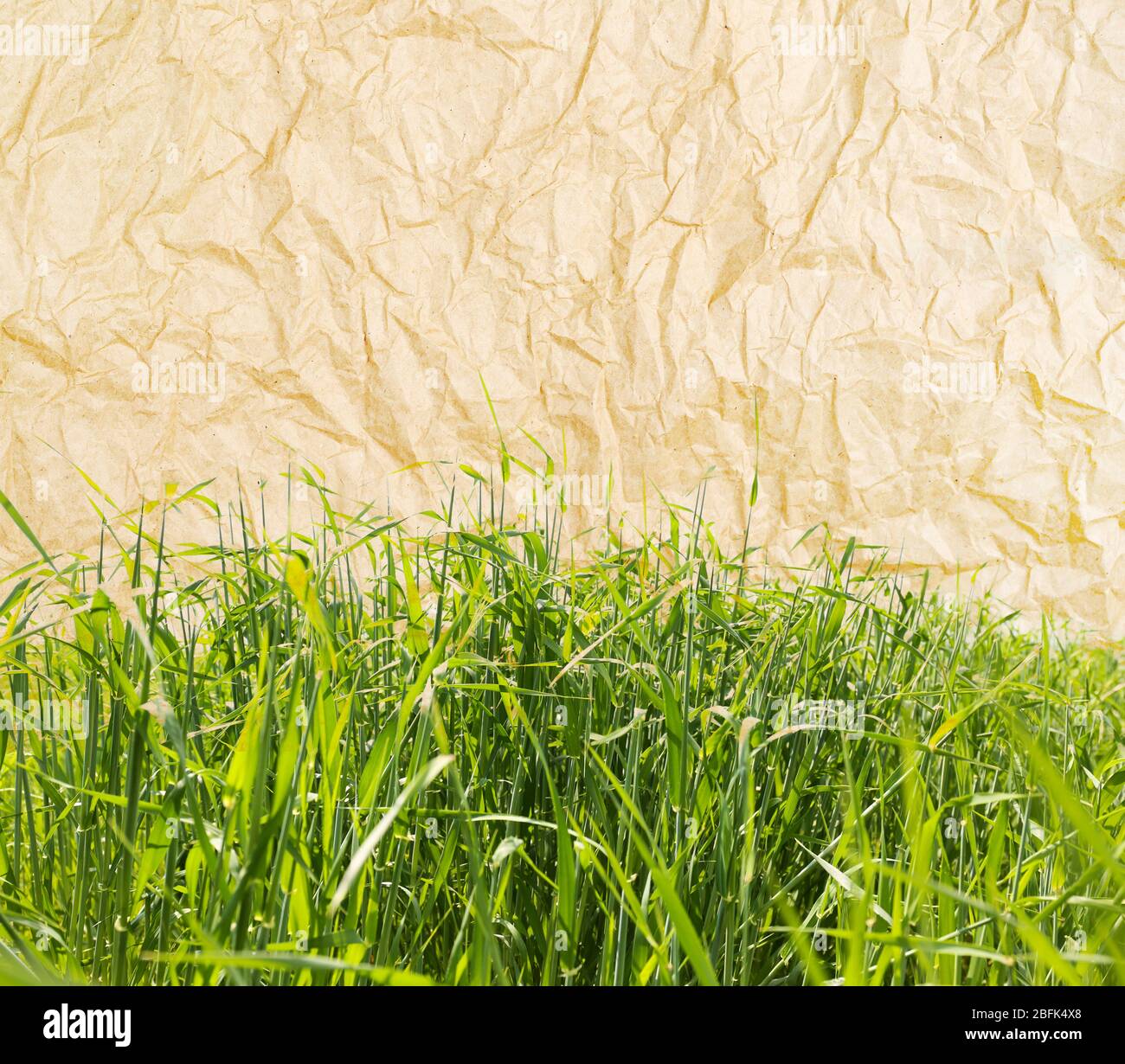 Beautiful green field on old paper texture background Stock Photo - Alamy