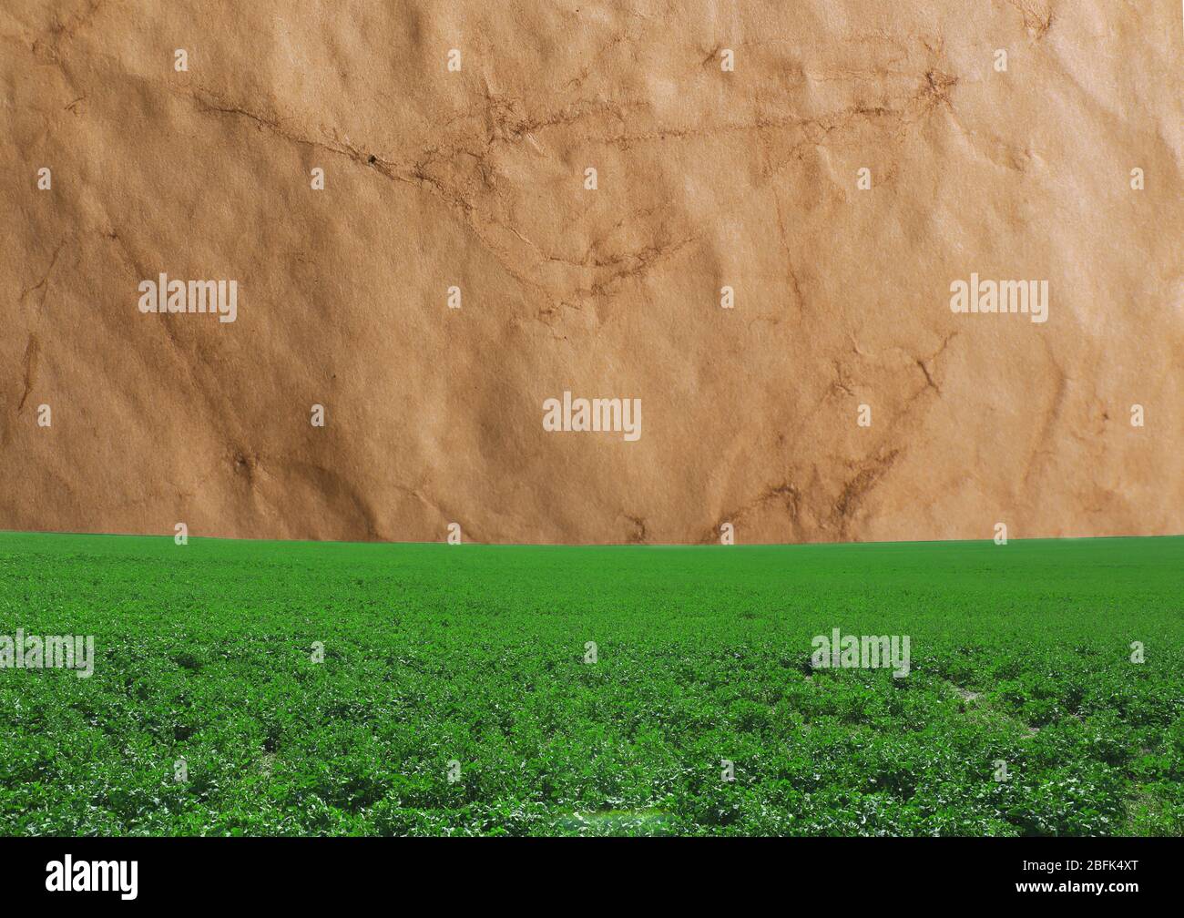 Beautiful green field on old paper texture background Stock Photo - Alamy