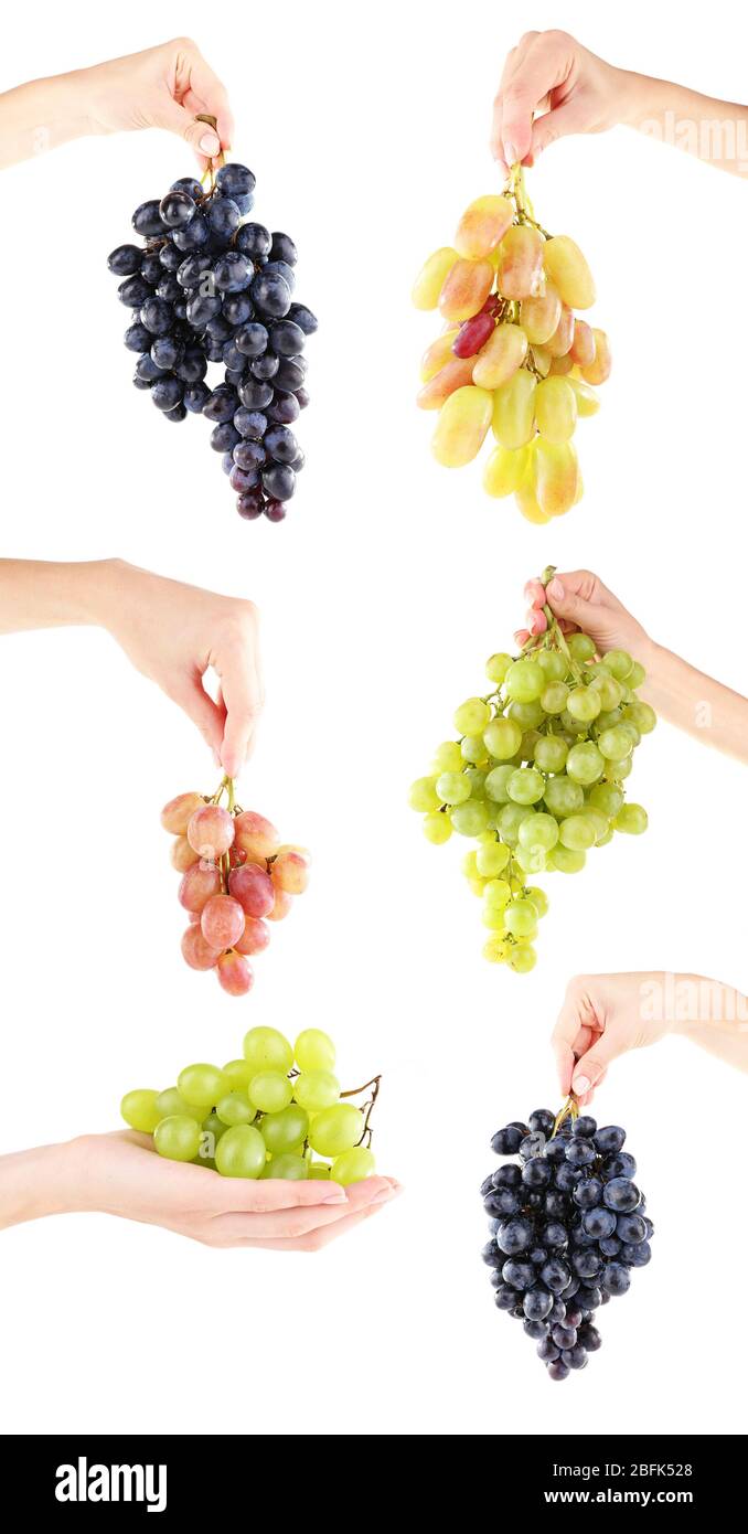 Wine grapes white mix hi-res stock photography and images - Alamy