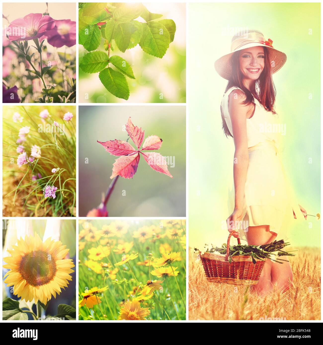 Beautiful nature collage Stock Photo - Alamy