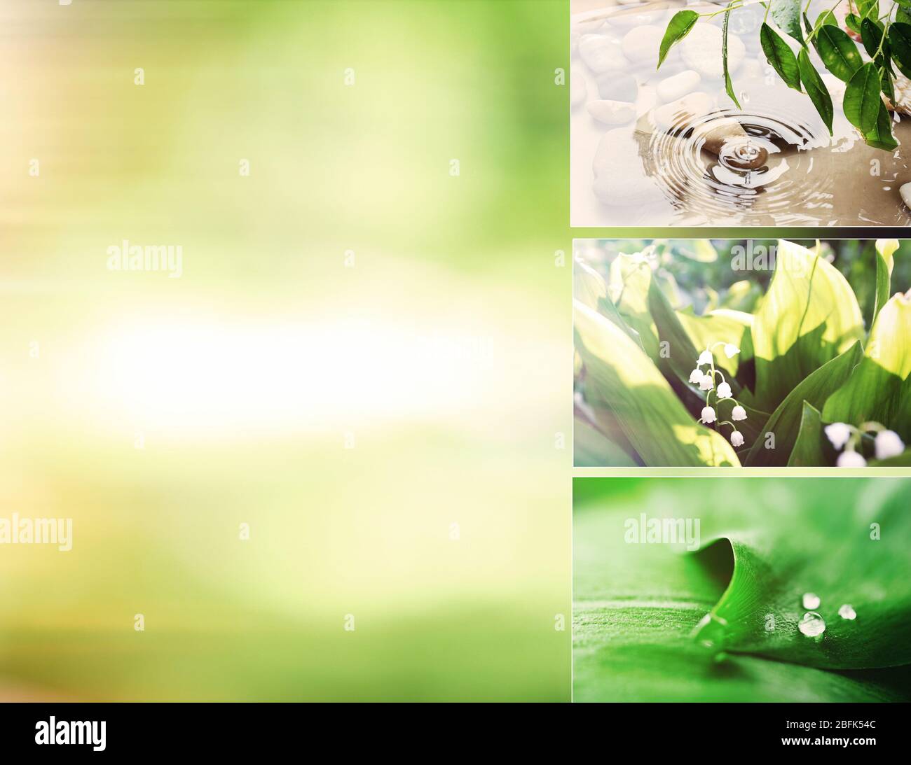 Beautiful nature collage Stock Photo - Alamy
