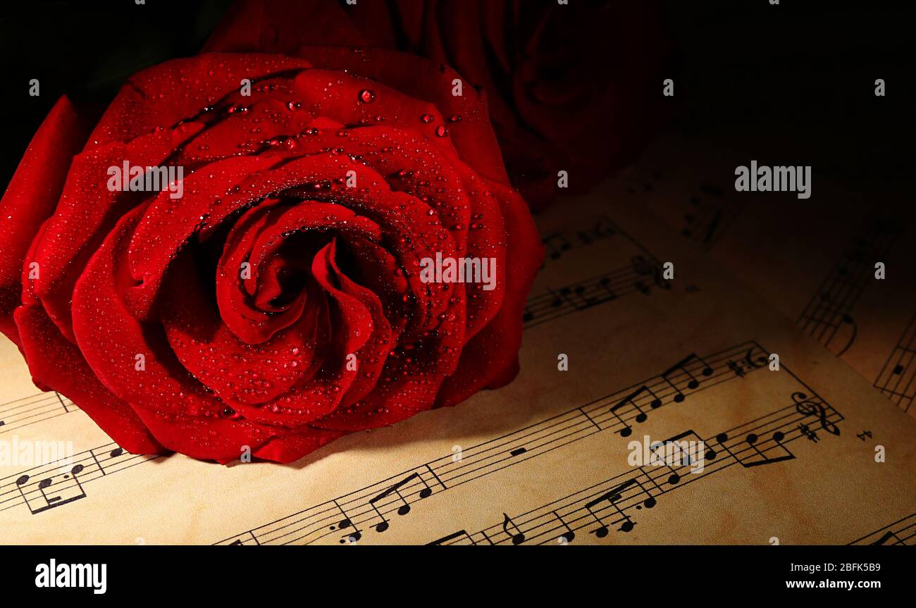 Red roses music notes hi-res stock photography and images - Alamy