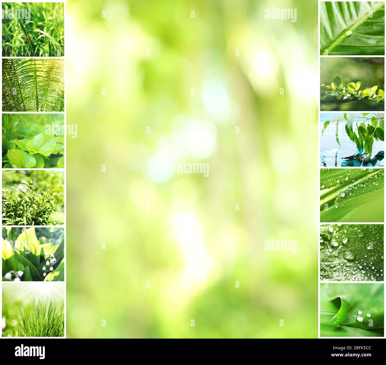 Beautiful nature collage Stock Photo - Alamy