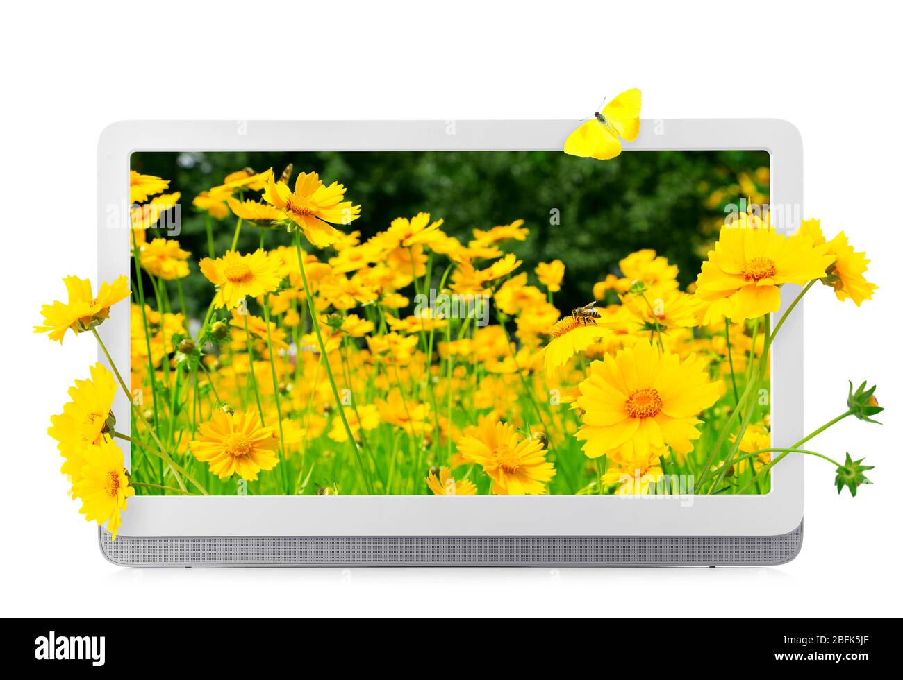 Tablet with nature wallpaper on screens isolated on white Stock Photo ...