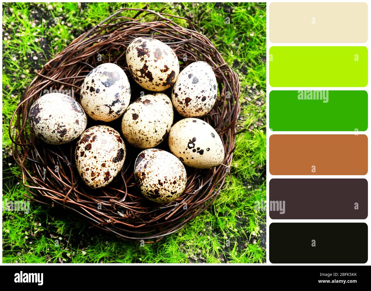 Color palette in spring Cut Out Stock Images & Pictures - Alamy