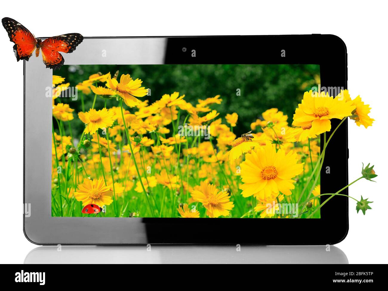 Tablet with nature wallpaper on screens isolated on white Stock Photo ...