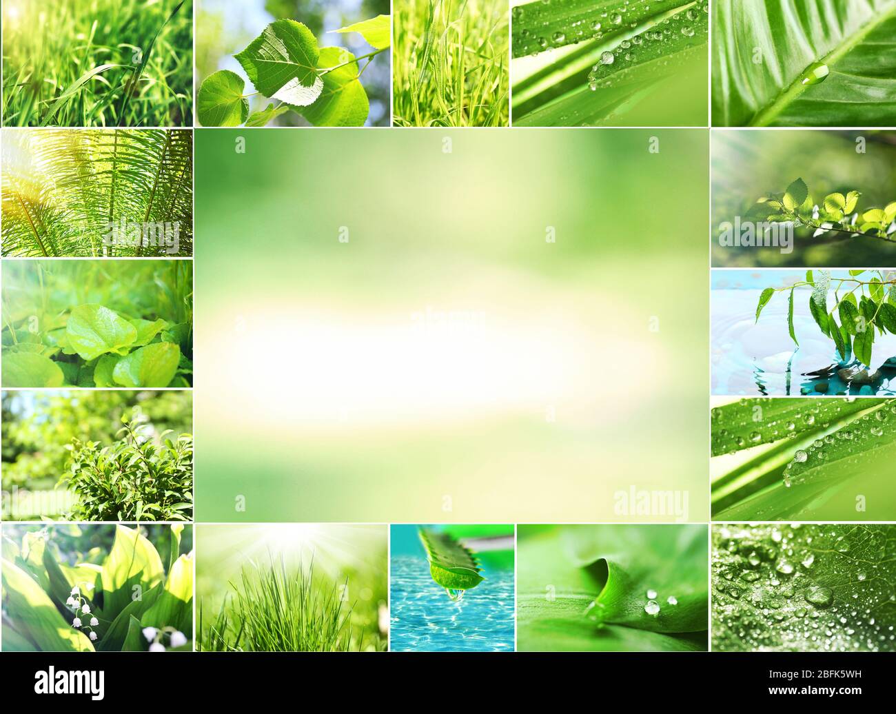 Beautiful nature collage Stock Photo - Alamy