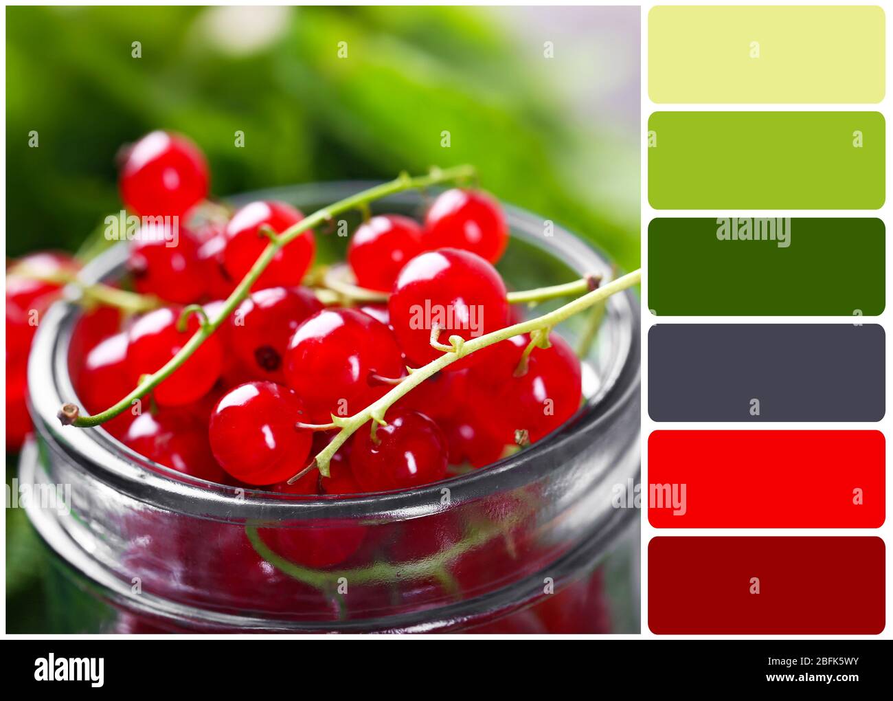 Fresh red currants in jar and palette of colors Stock Photo - Alamy