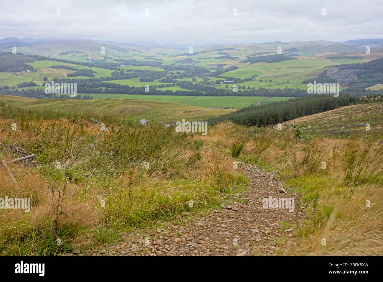 Farmland in Tweeddale from Cademuir Hill, near Peebles, Scottish ...