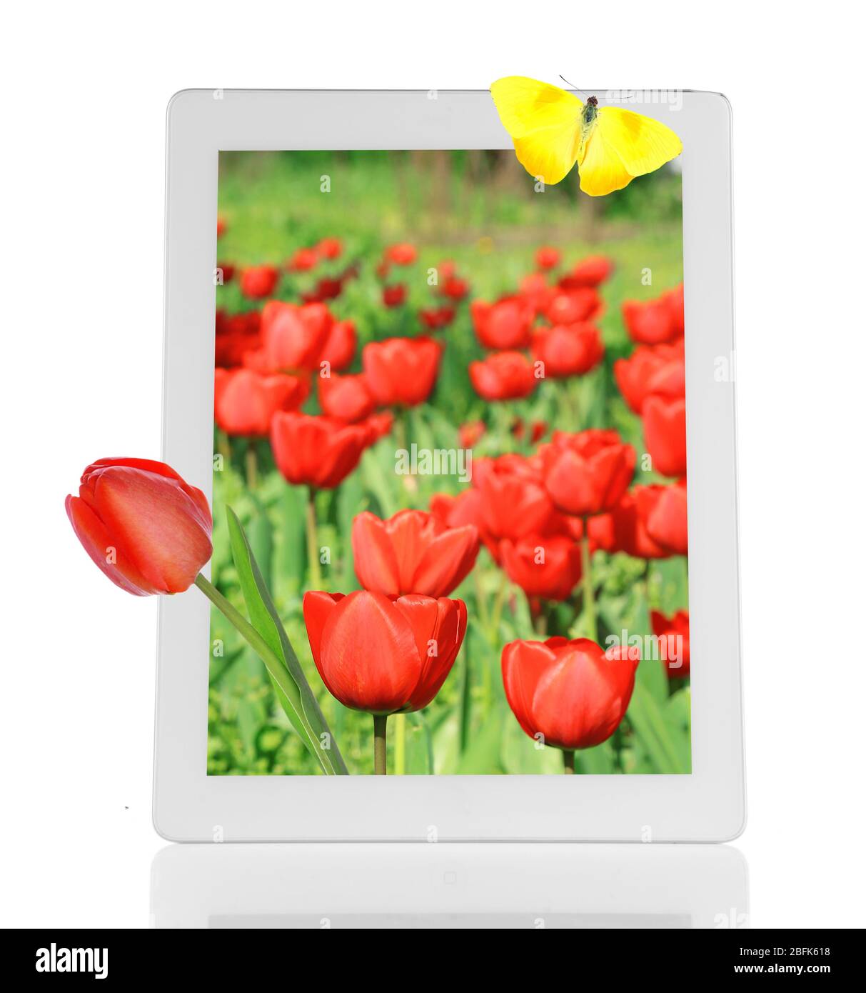 Tablet with nature wallpaper on screen isolated on white Stock Photo ...