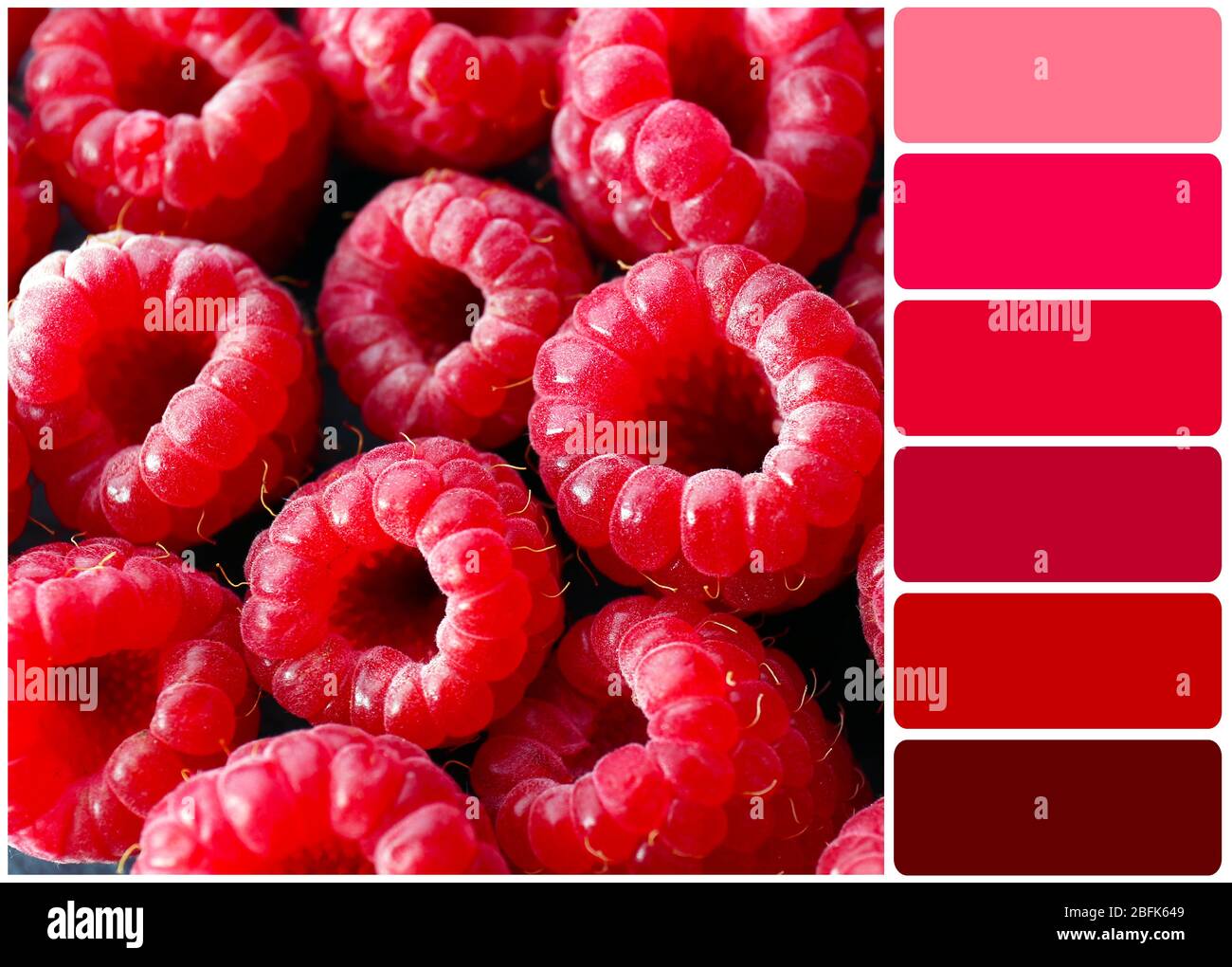 Heap of red sweet raspberries and palette of colors Stock Photo - Alamy