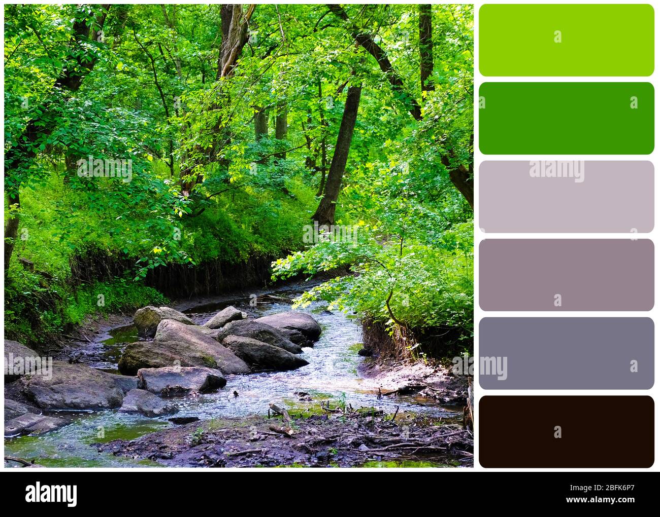River over forest grove and palette of colors Stock Photo - Alamy