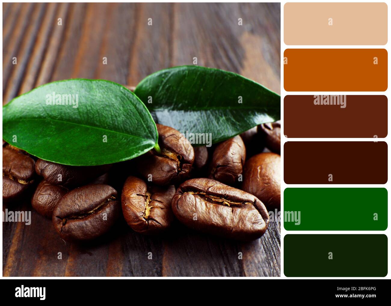 Coffee Green Colour