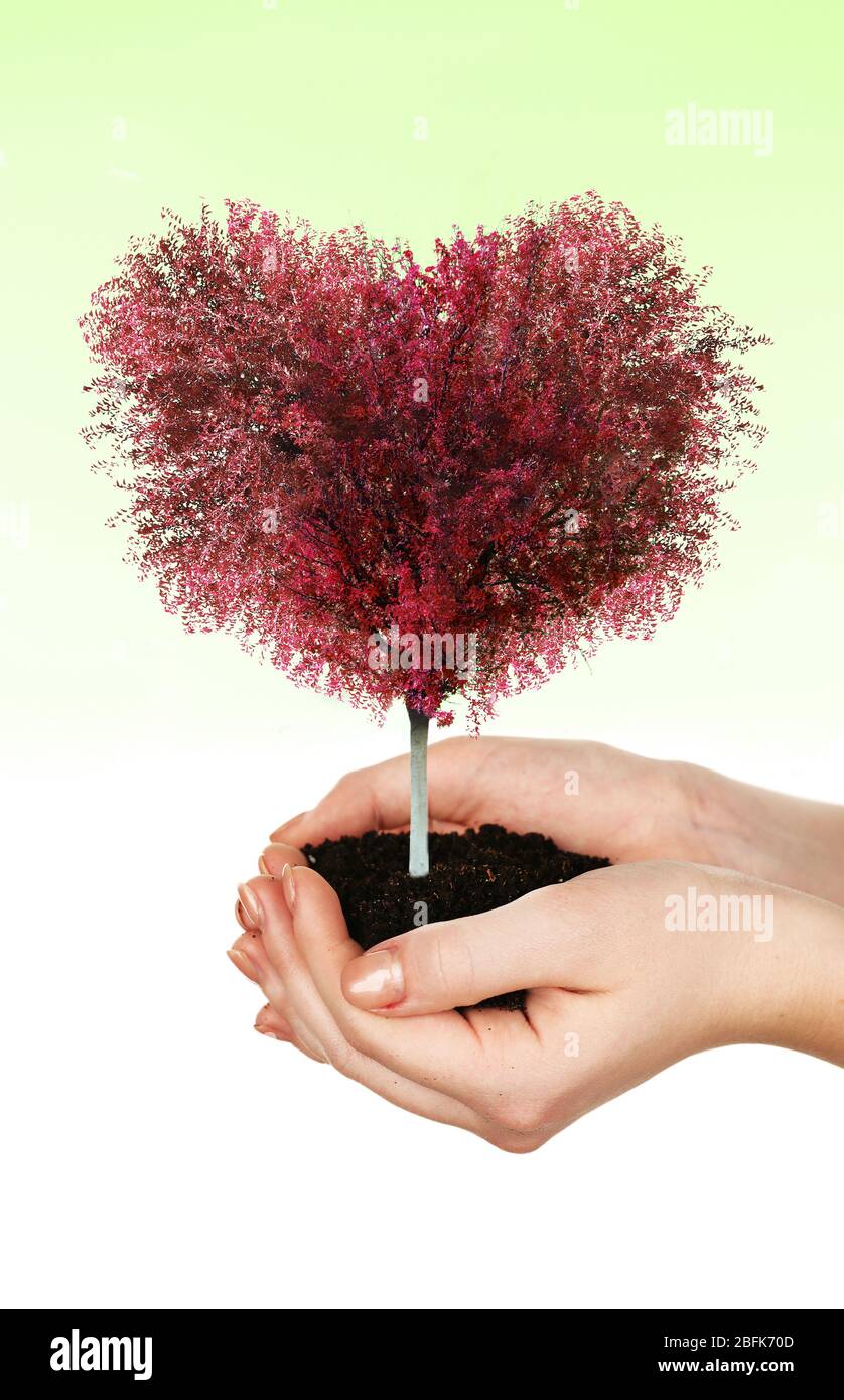Tree hands lonely hi-res stock photography and images - Alamy