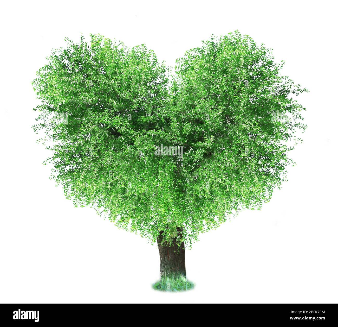 Green tree in heart shape isolated on white Stock Photo - Alamy