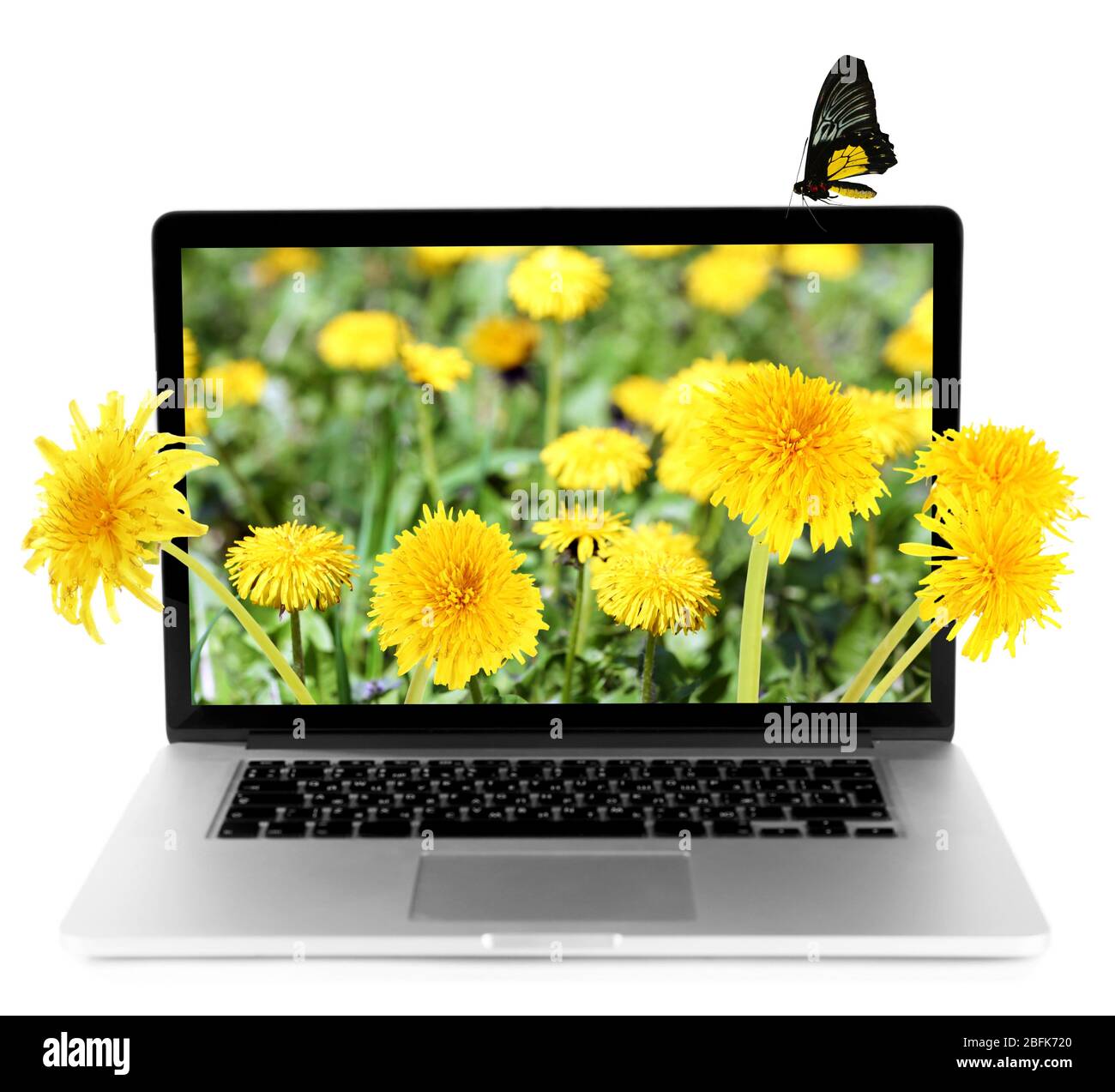Desktop flower wallpaper Cut Out Stock Images & Pictures - Alamy