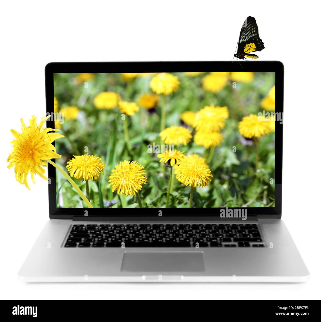 Desktop flower wallpaper Cut Out Stock Images & Pictures - Alamy