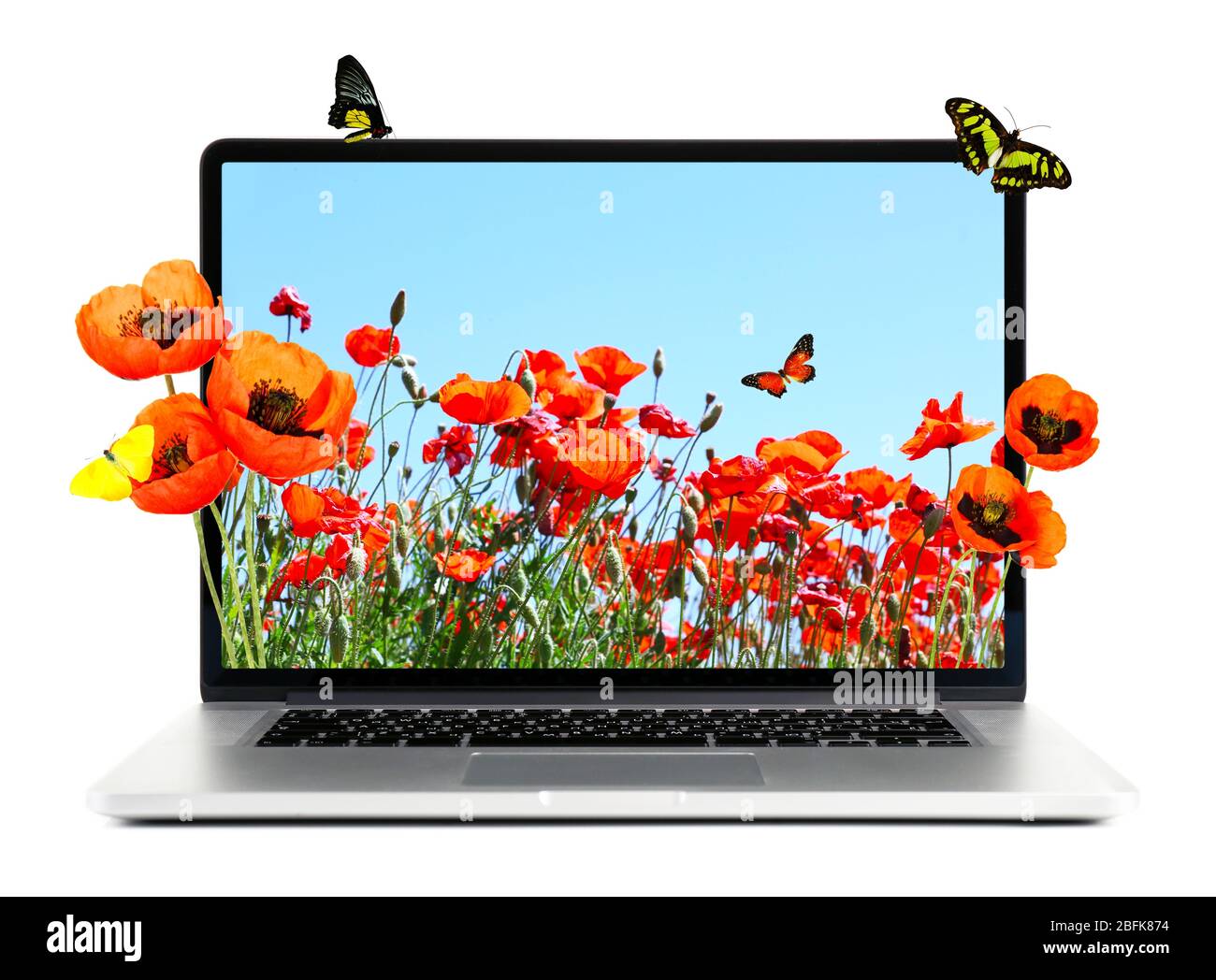 Desktop flower wallpaper Cut Out Stock Images & Pictures - Alamy