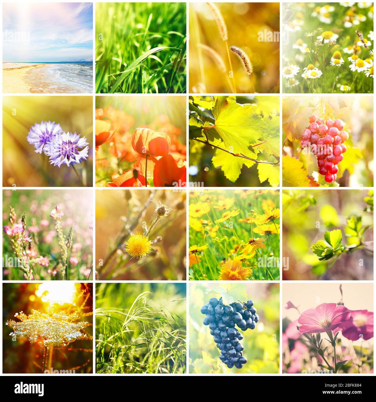 Beautiful nature collage Stock Photo - Alamy