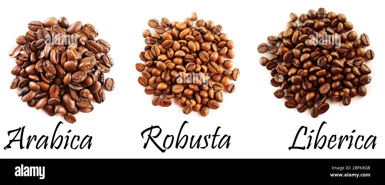 Different coffee beans isolated on white Stock Photo - Alamy