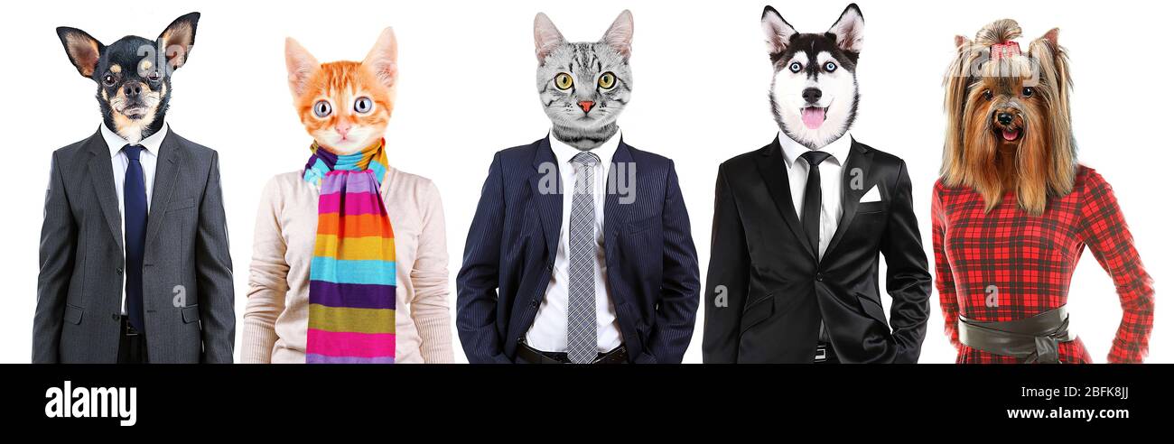 Animal Heads On People