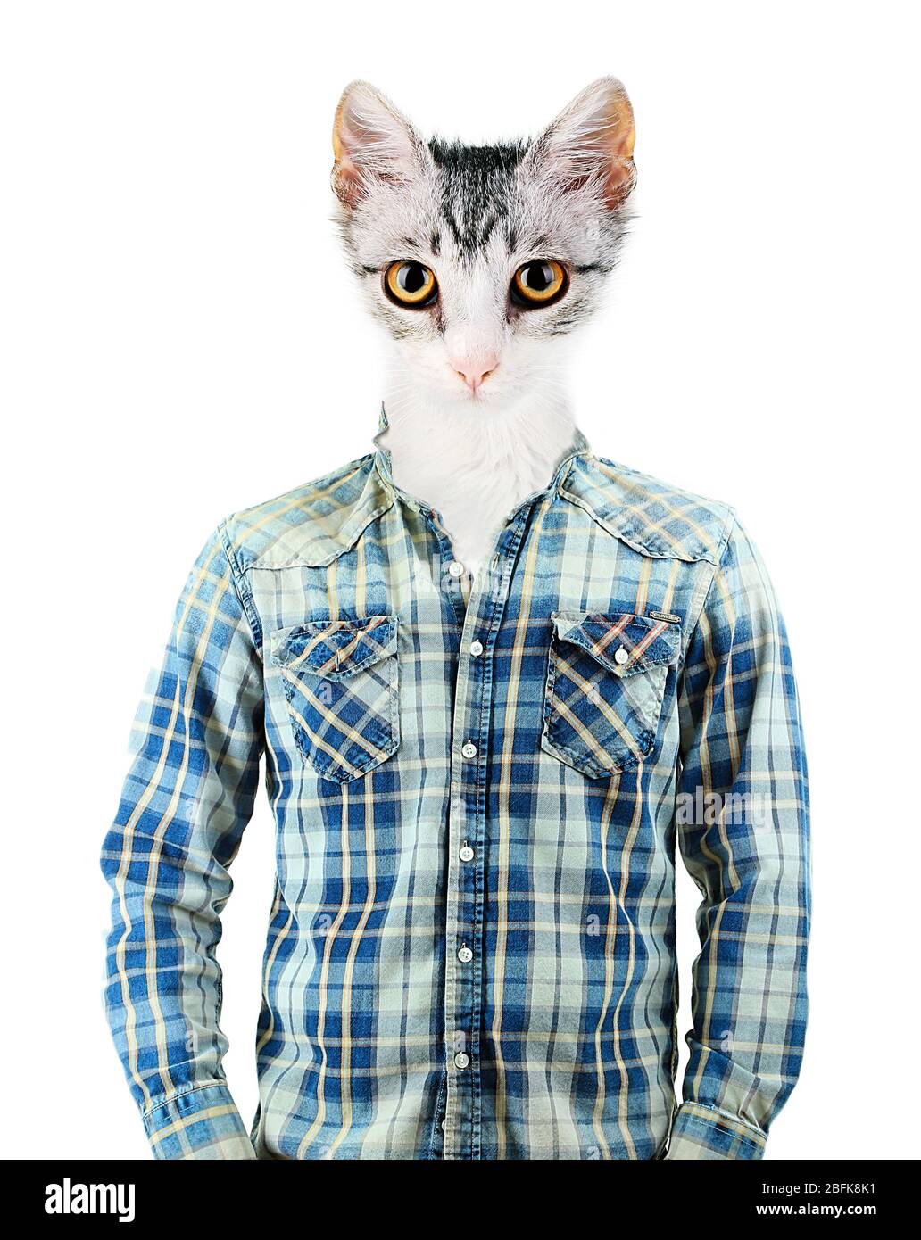 Portrait Of Man With Animal Head Stock Photo - Alamy