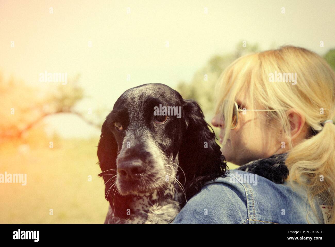 Girl holding cute dog on nature background Stock Photo - Alamy
