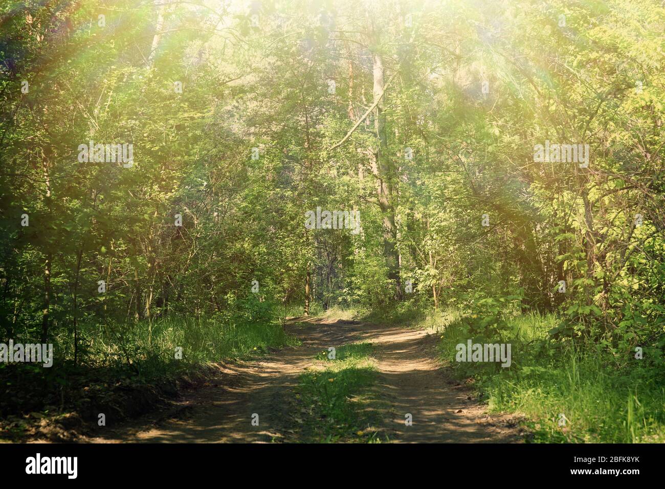 Trodden road hi-res stock photography and images - Alamy
