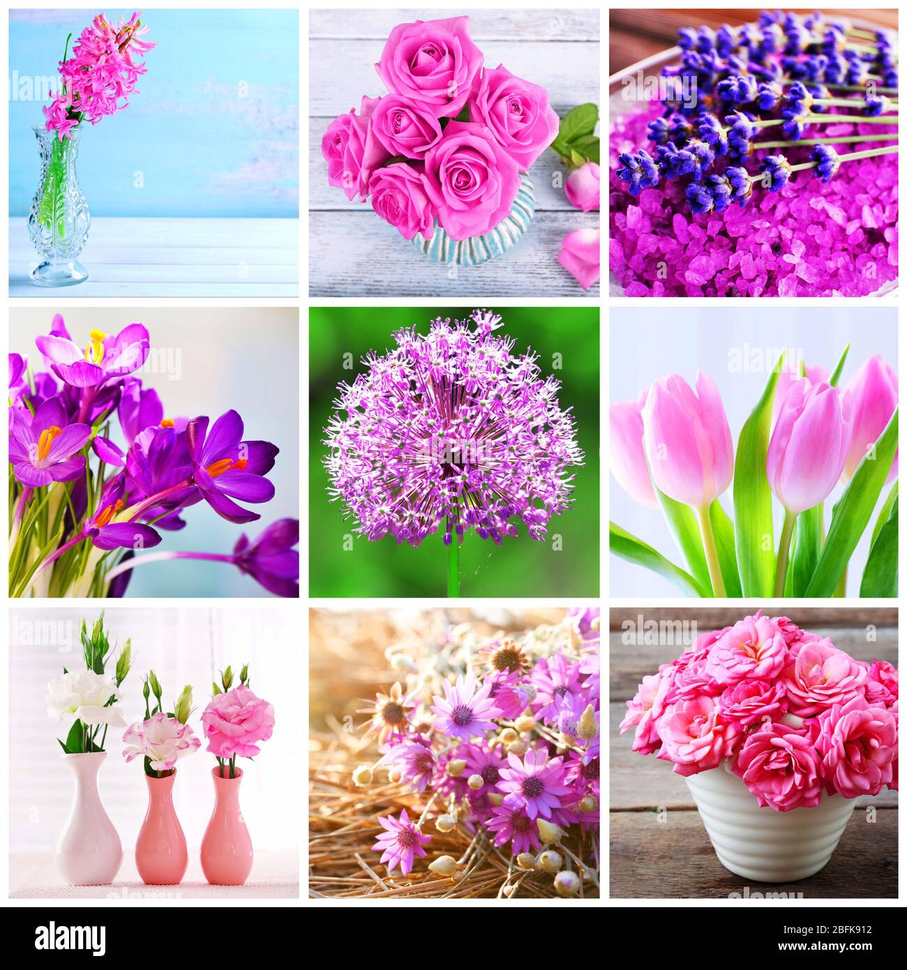 Beautiful flowers collage Stock Photo - Alamy