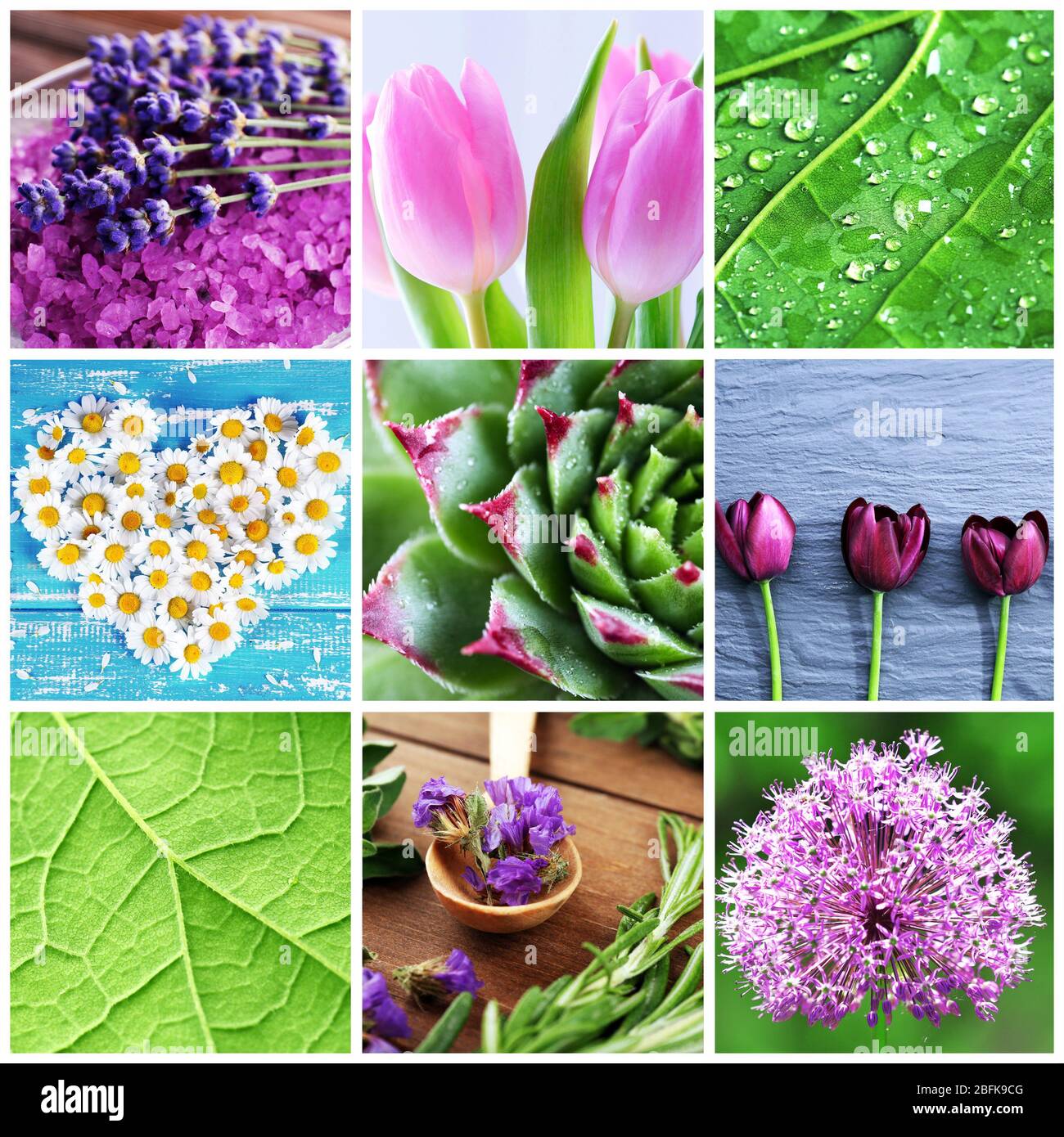 Collage of different bright photos Stock Photo - Alamy