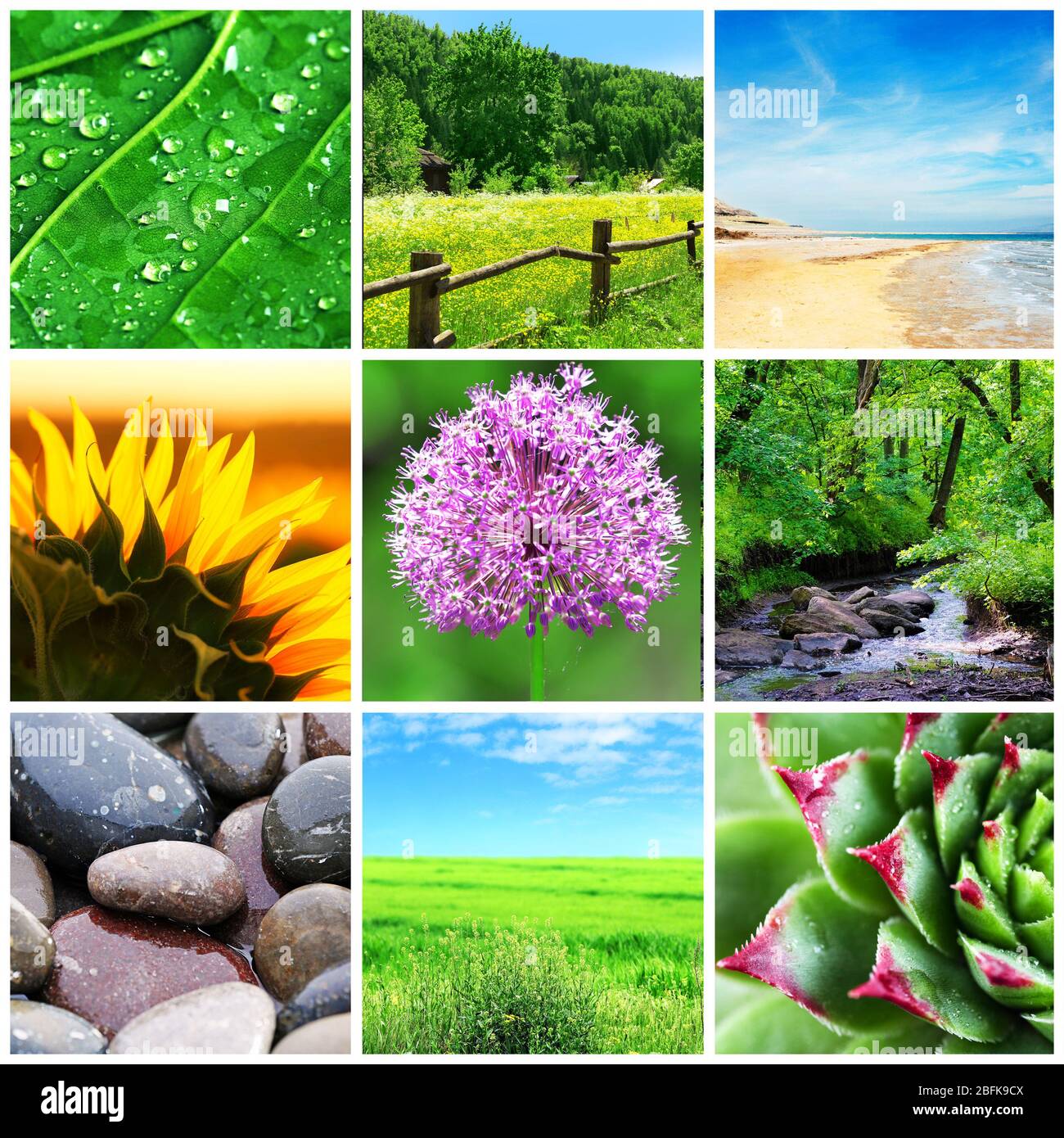 Beautiful nature collage Stock Photo - Alamy