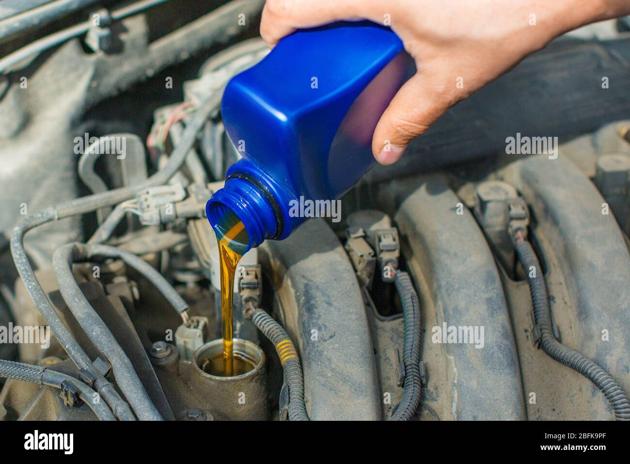 Close up photo of a male hand fill a car engine by oil. Car service ...