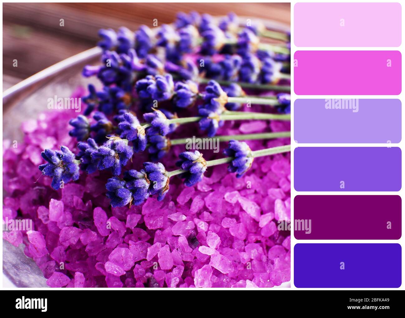 Purple sea salt with fresh lavender and palette of colors Stock Photo ...