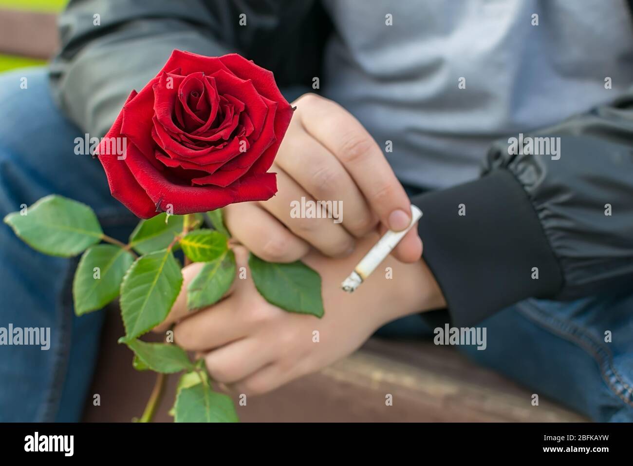 view of the hand of a man with a red rose in his hand, who is sitting ...