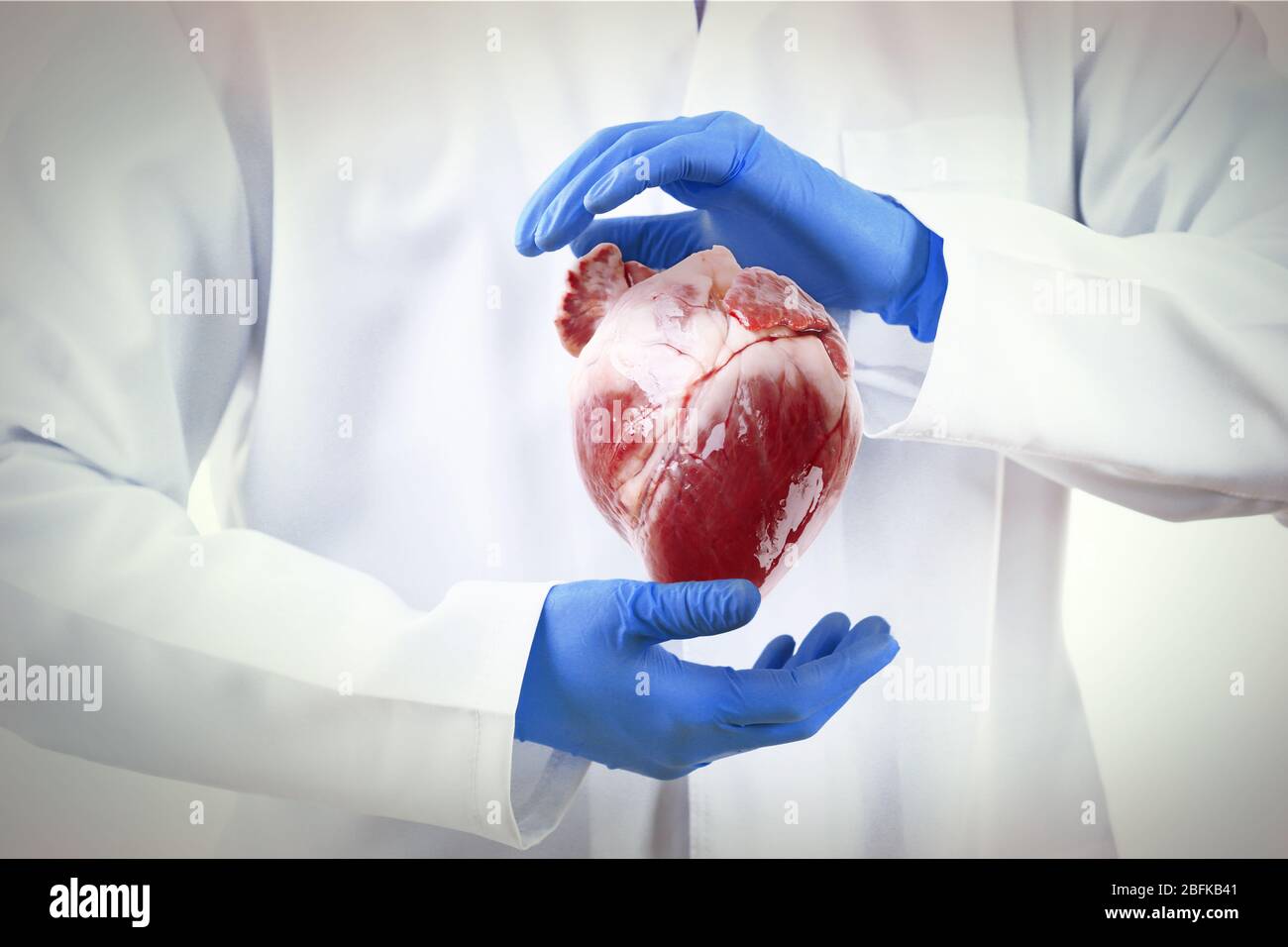Medical concept. Male doctor with real heart in hands Stock Photo - Alamy