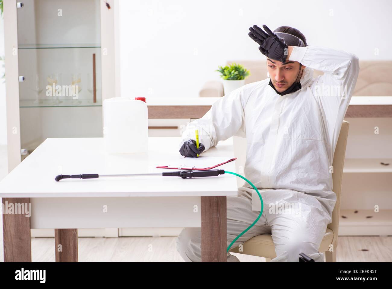 Young male contractor doing pest control Stock Photo - Alamy