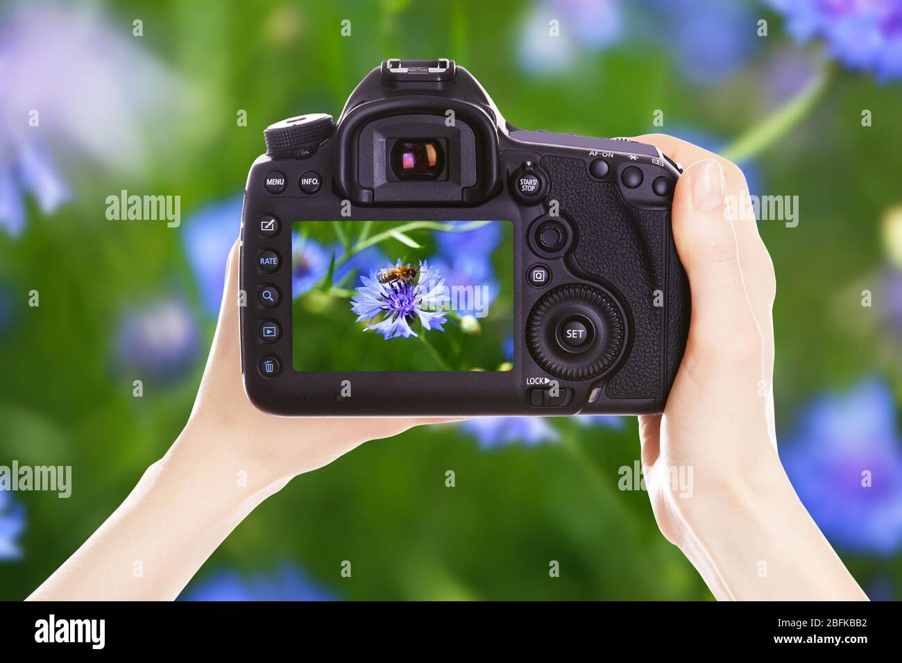 Photographer with camera at work Stock Photo - Alamy