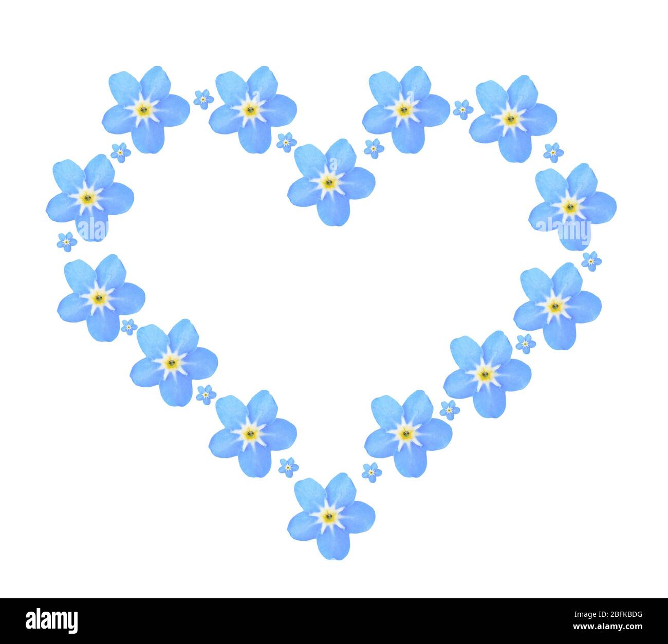 Forget Me Not Flowers Heart