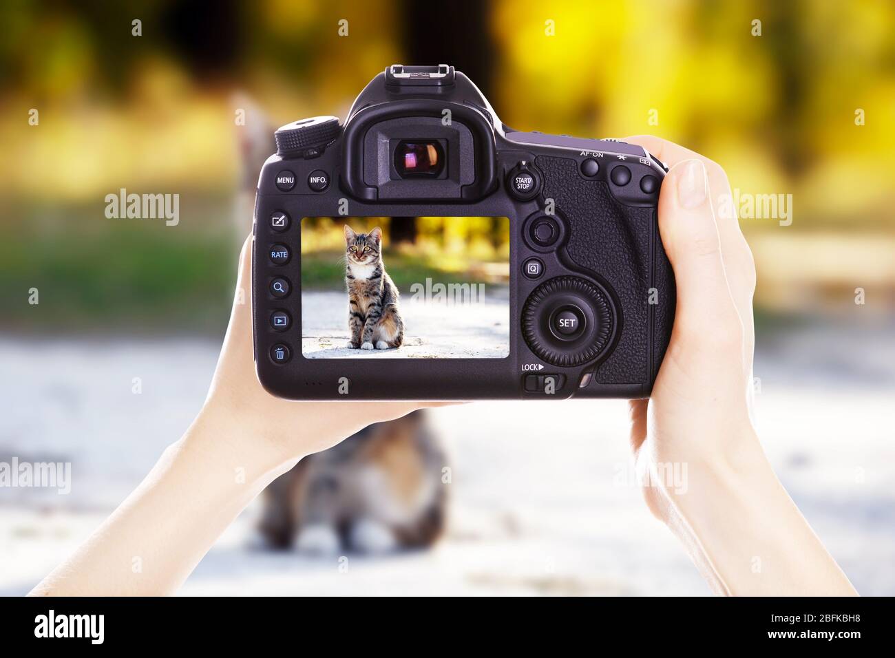 Camera work stone hi-res stock photography and images - Alamy