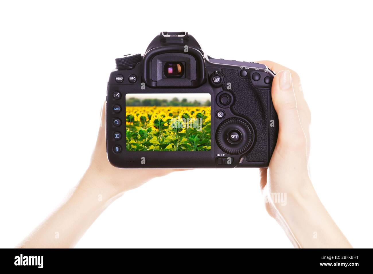 Rural shoot photography Cut Out Stock Images & Pictures - Alamy