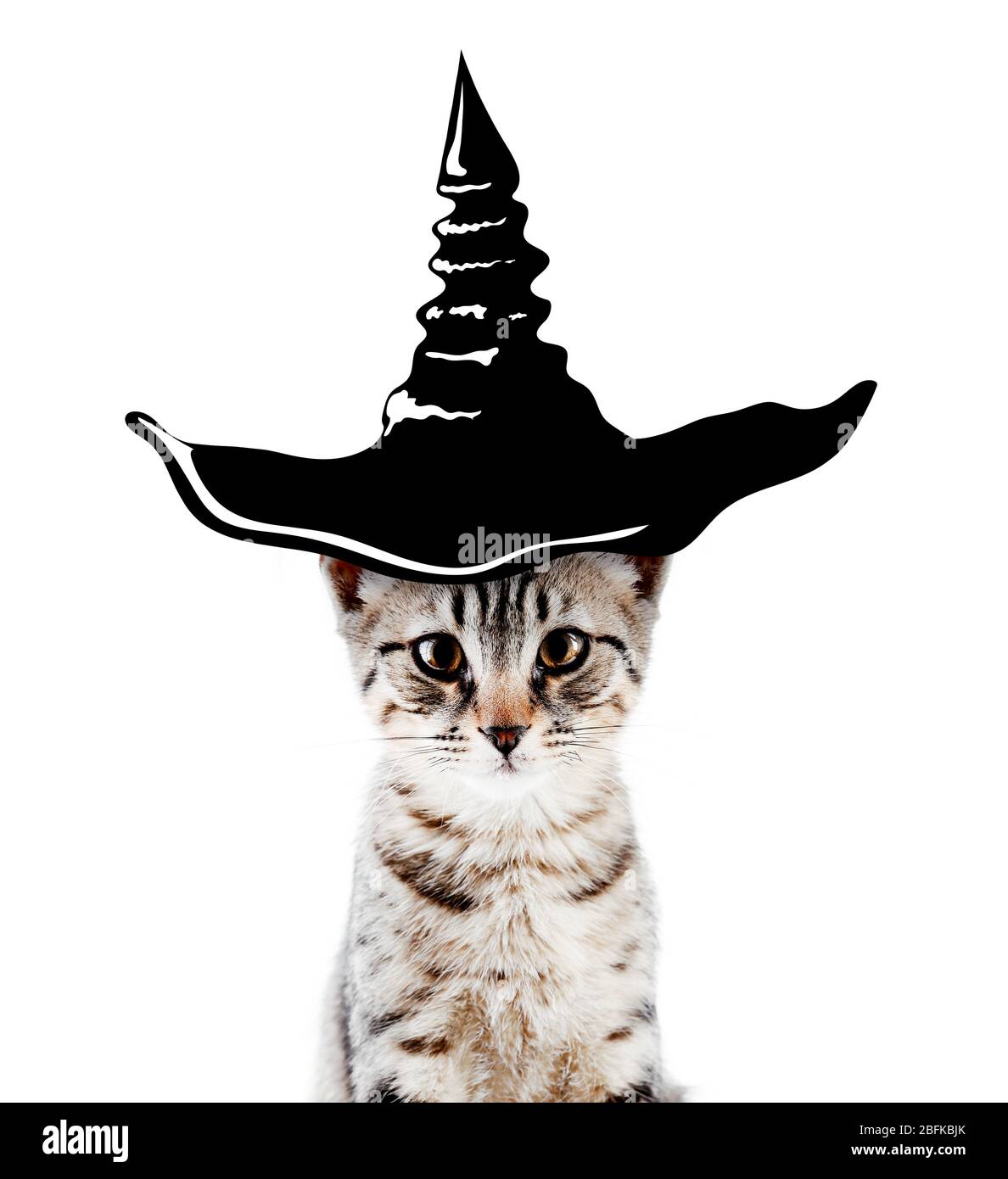 Dressed as the cat and the witch hi-res stock photography and images ...