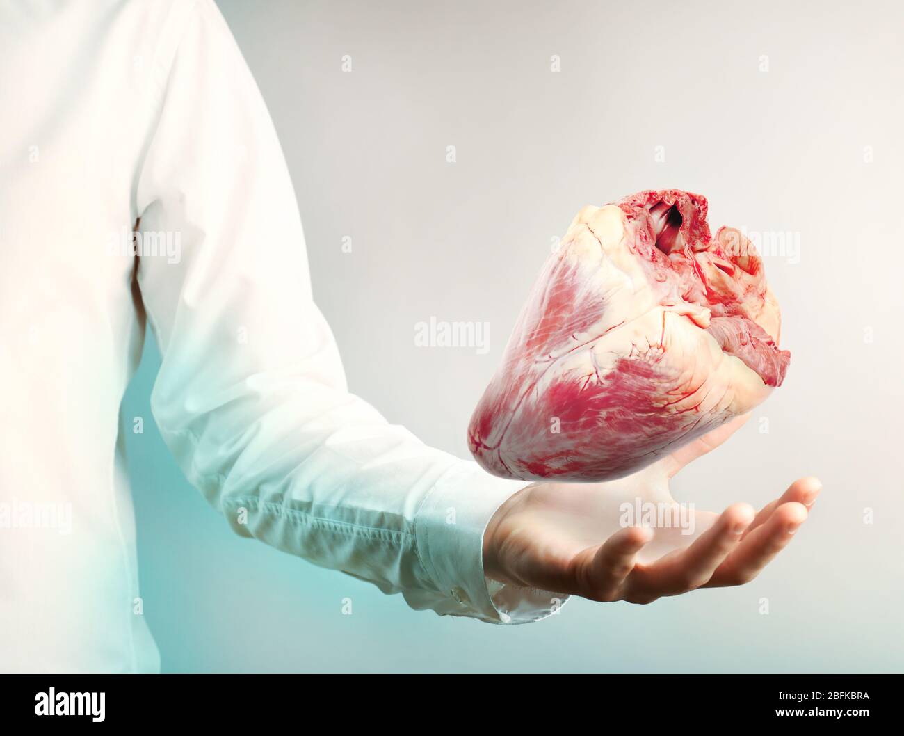 Medical concept. Female doctor with real heart in hands Stock Photo - Alamy