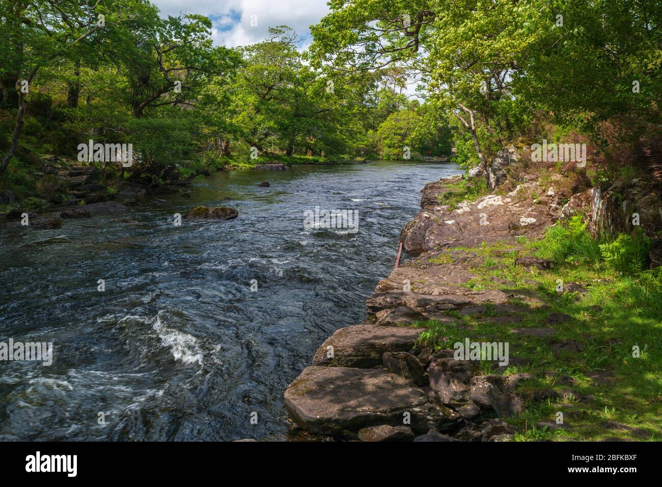 River Laune flowing through Killarney Lakes in Killarney National Park ...