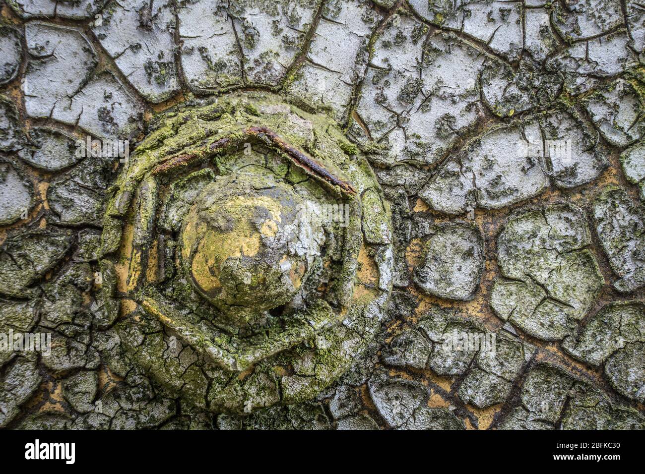Weathered screws on a railway bridge Stock Photo - Alamy