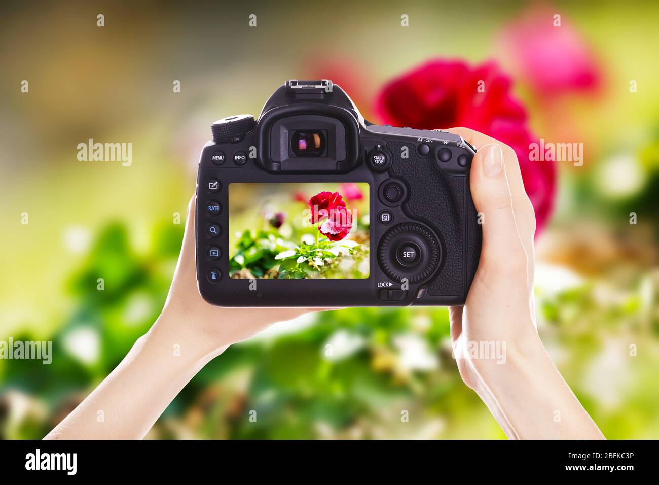 Photographer with camera at work Stock Photo - Alamy