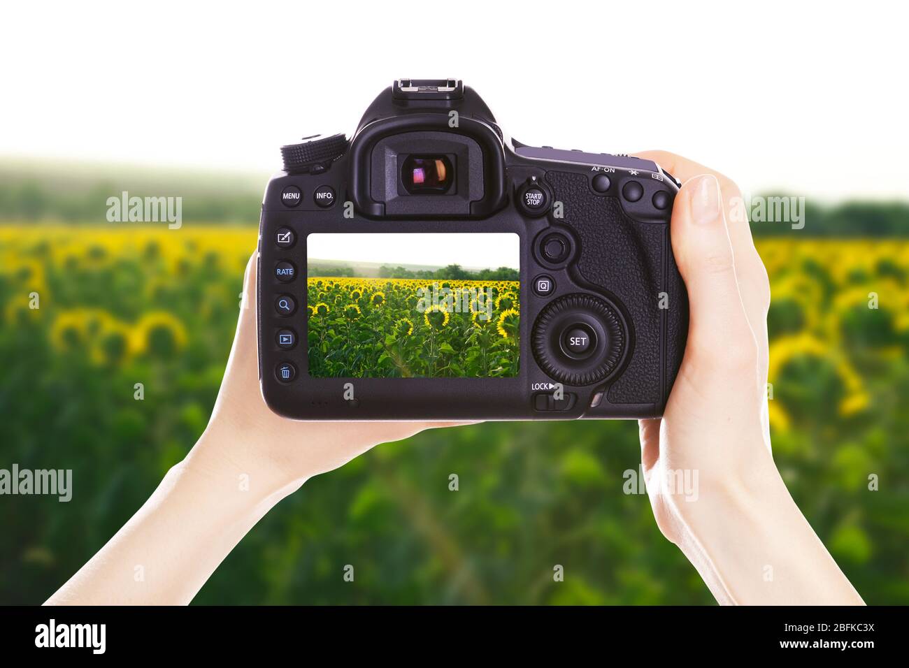Photographer with camera at work Stock Photo - Alamy