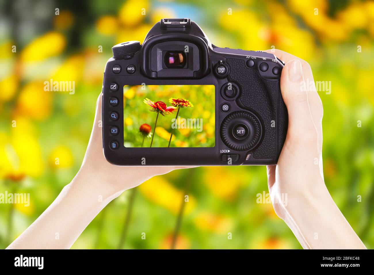 Photographer with camera at work Stock Photo - Alamy