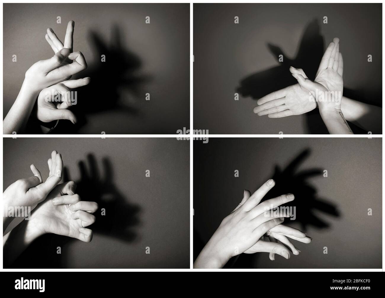 Hands gesture like different animals and figures on gray background ...
