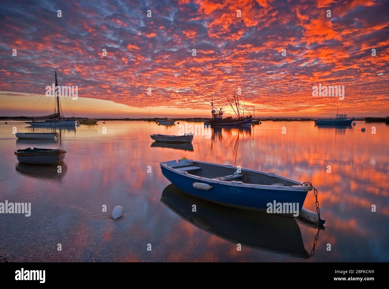 Mersea Island, Essex Stock Photo - Alamy