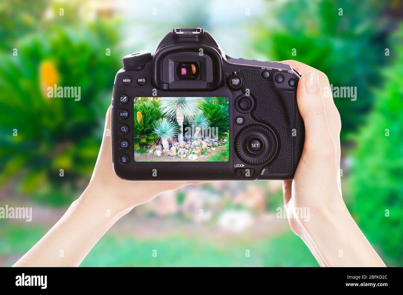 Photographer with camera at work Stock Photo - Alamy
